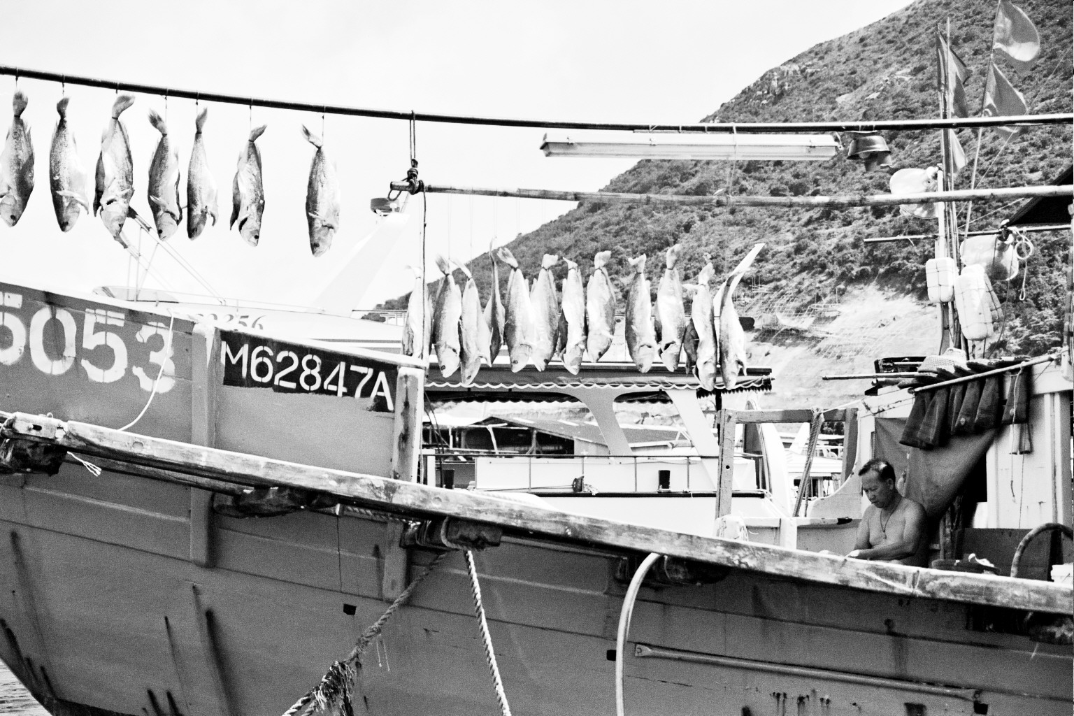 Matthew Bean | FUSION