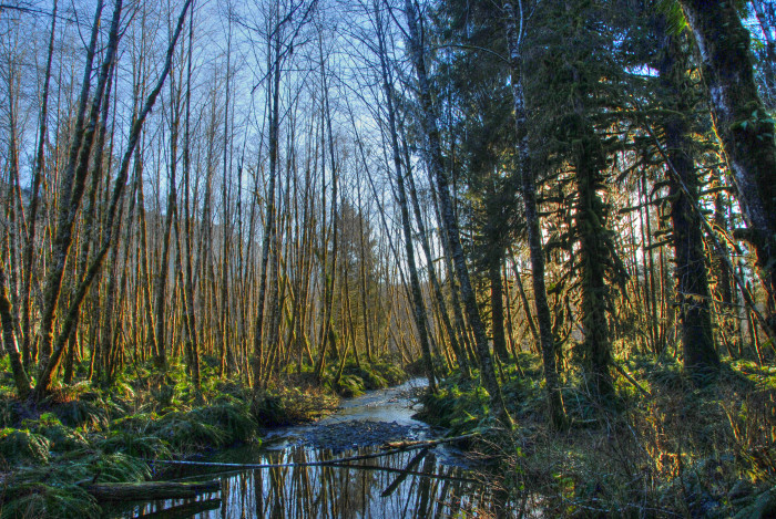 Aldon Baker | FUSION