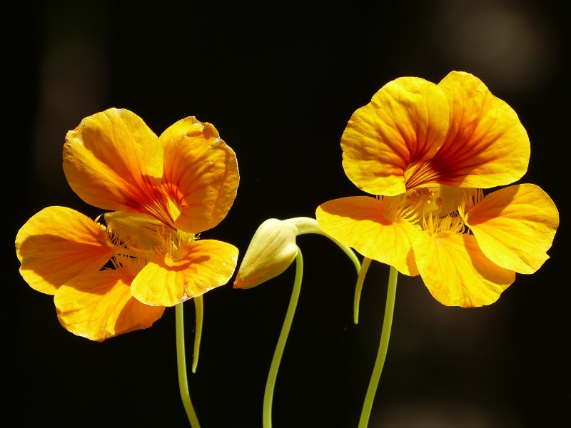 FUSION Magazine Faculty Photography Contest and Exhibition Winners | FUSION