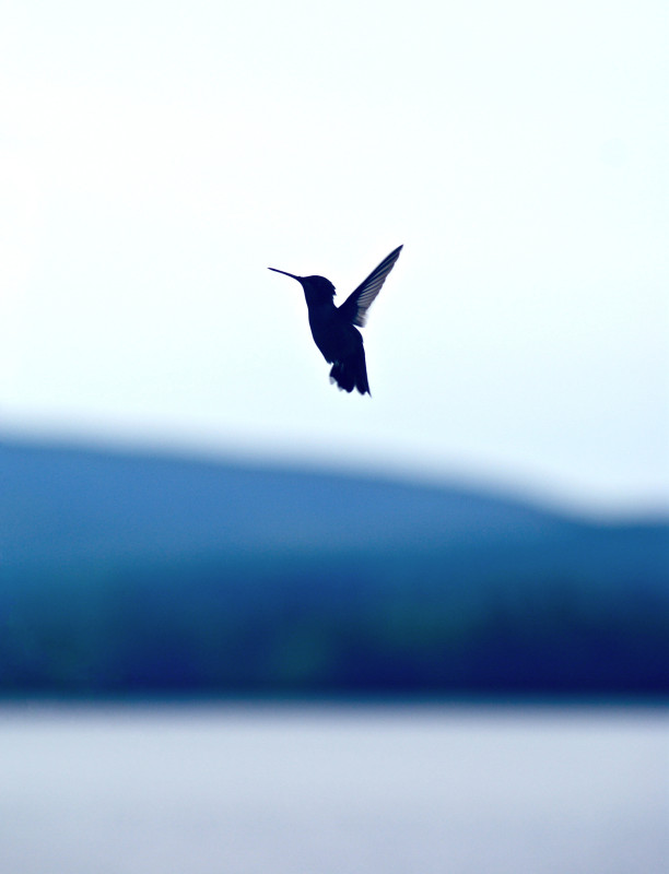 FUSION Magazine Faculty Photography Contest and Exhibition Winners | FUSION